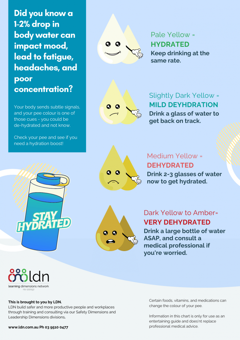 Why hydration matters at work (+ printable Infographic) | LDN